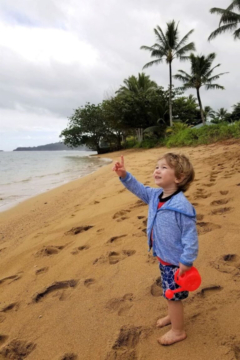 How to Visit the Best Beaches in Kauai