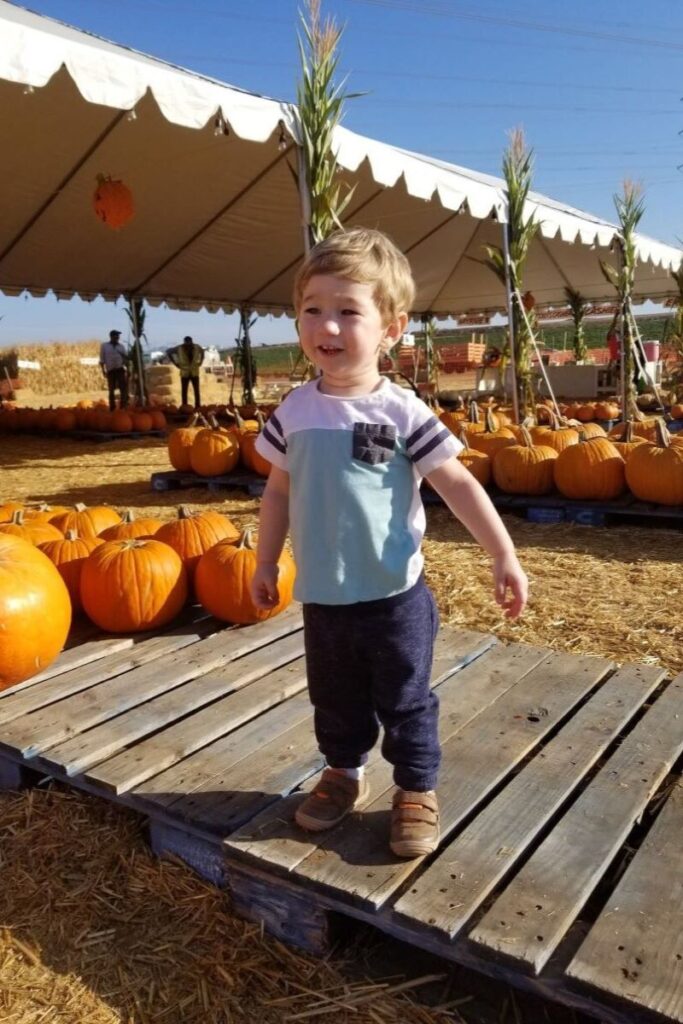 A Spooktacular Pumpkin Patch to Visit in Carlsbad