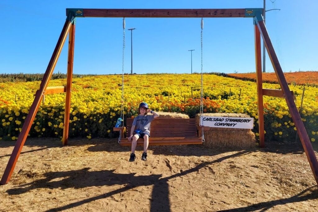 A Spooktacular Pumpkin Patch to Visit in Carlsbad