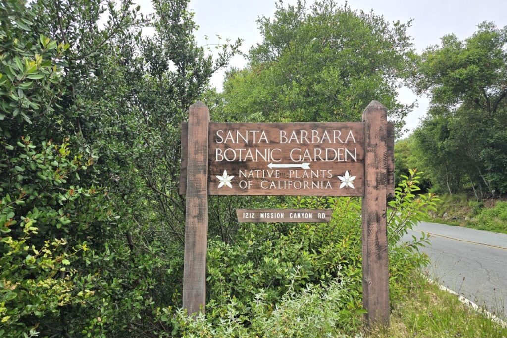 Santa Barbara Botanic Garden: How to Visit This Lush Treasure